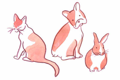 Alice Livingstone Illustration