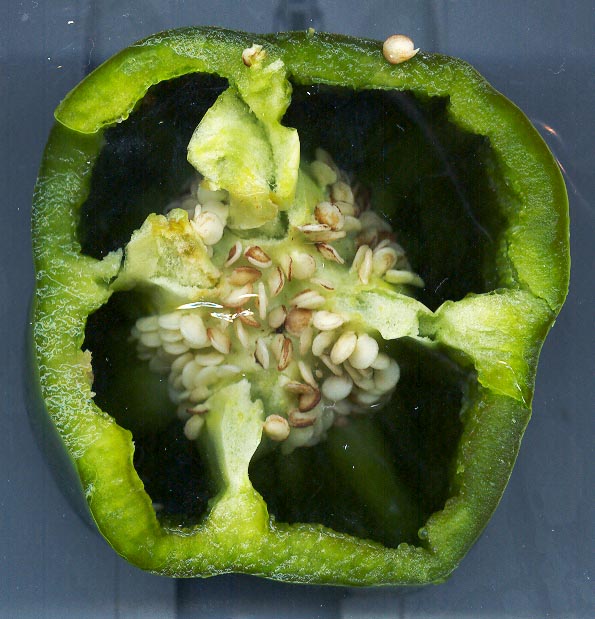 Transformation - Ryan Hussey Creative