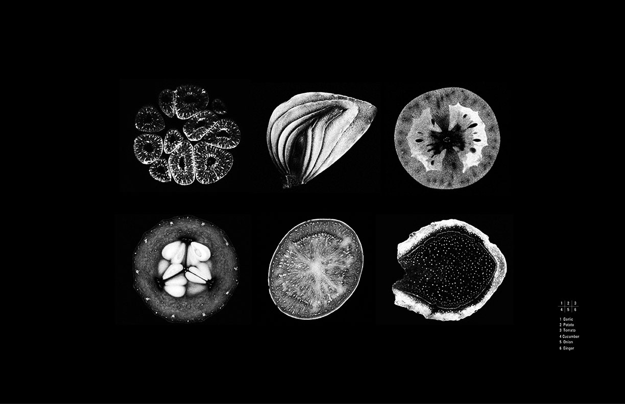 Vegetable Anatomy MRI Slices - HONG WEI