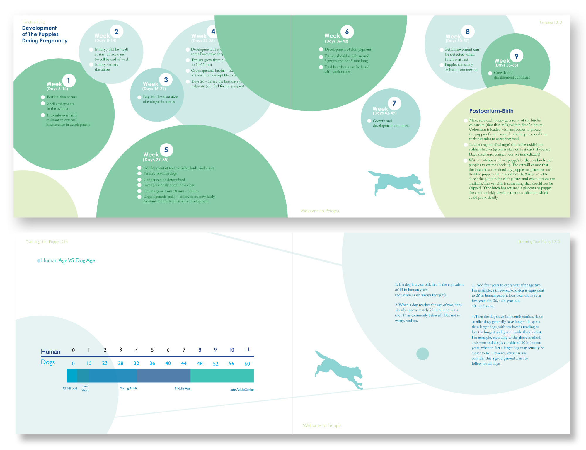 Dog Book Design - ju