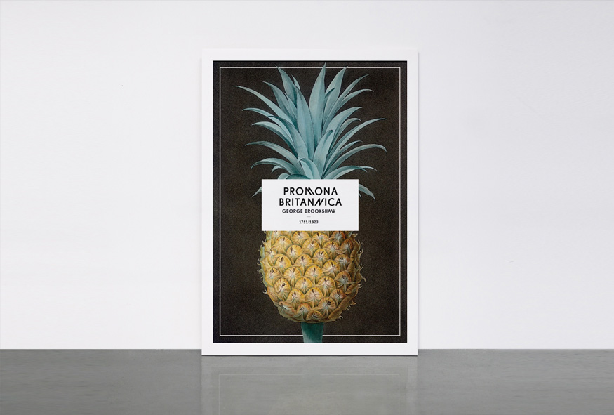 George Brookshaw - Grand National Studio