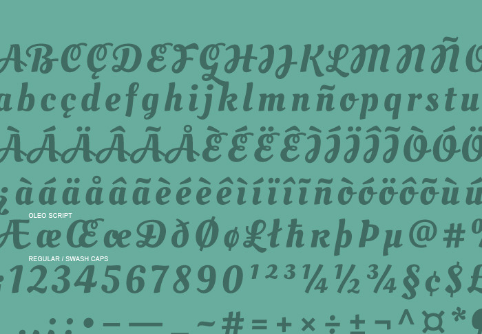 Oleo Script - soytutype