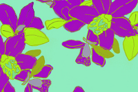 Eleanor Allen Illustration