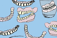 Eleanor Allen Illustration