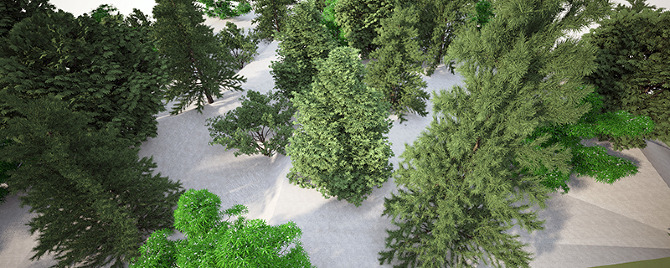 Revealing Trees’ Topography 2013 - ether ship