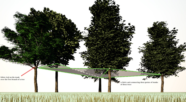 Revealing Trees’ Topography 2013 - ether ship