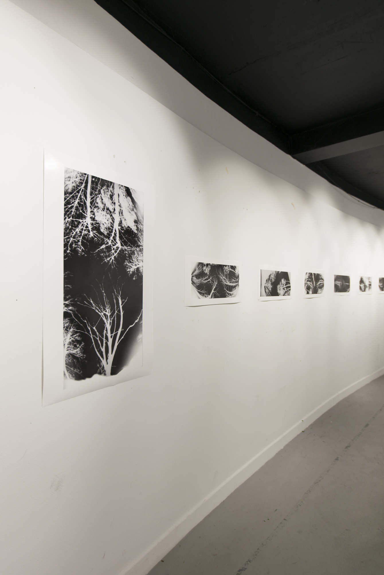 How The Light Gets In - Brian Cregan Photography