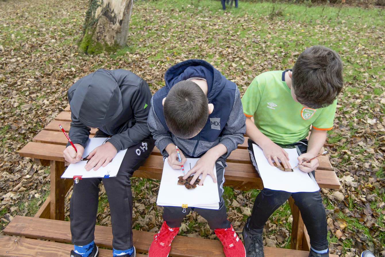 Artist Residency at Newbridge Educate Together Primary School - Brian ...