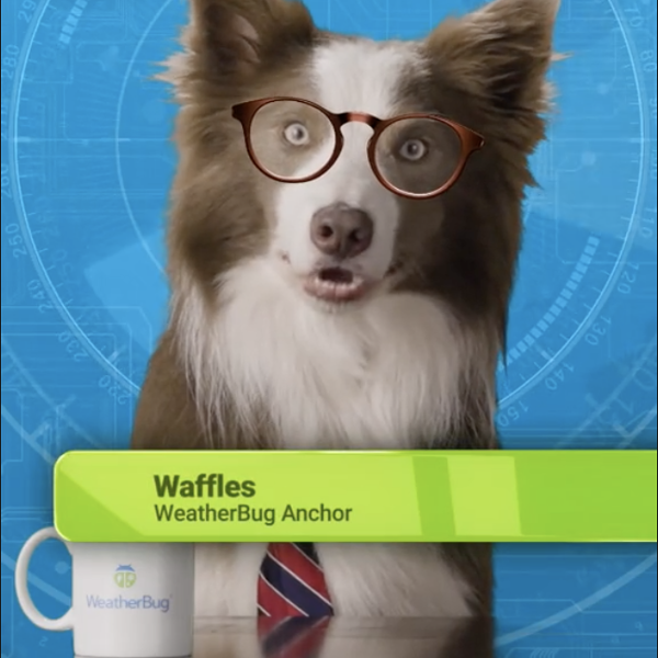 Nicole Corley | Copywriter