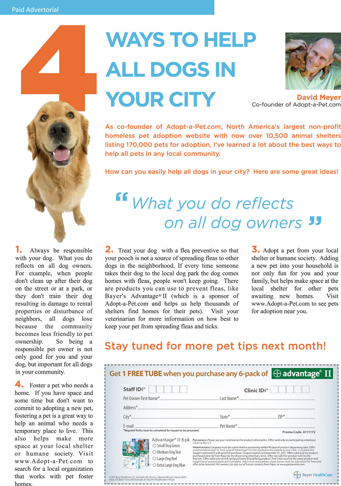 Advertorials for Dog Fancy Magazine - Jon Doucette