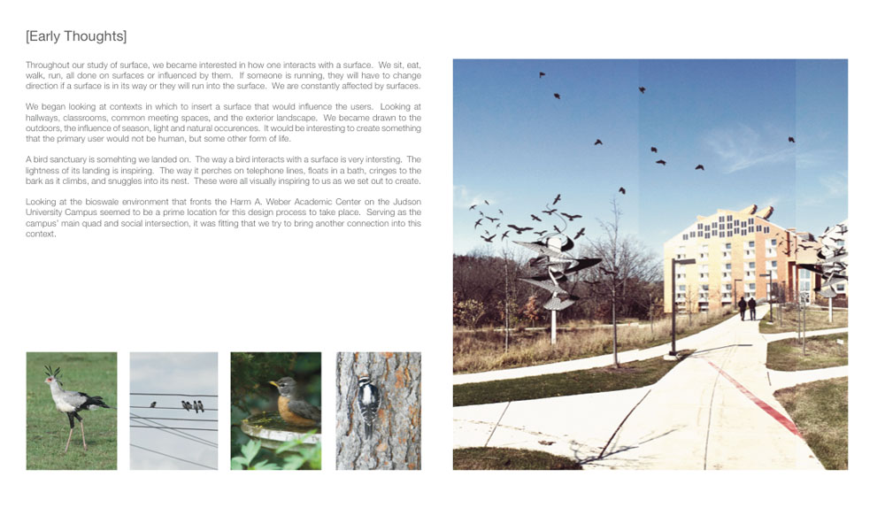 Bird Sanctuary Design