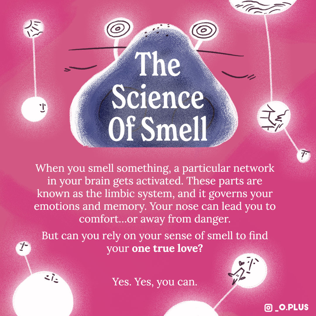 Comforting Smells - Lam Yik Chun Graphic Design and Illustration