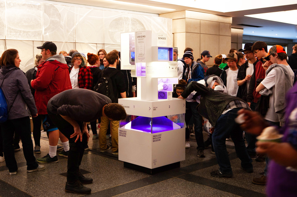 MICRO Museums - Robb