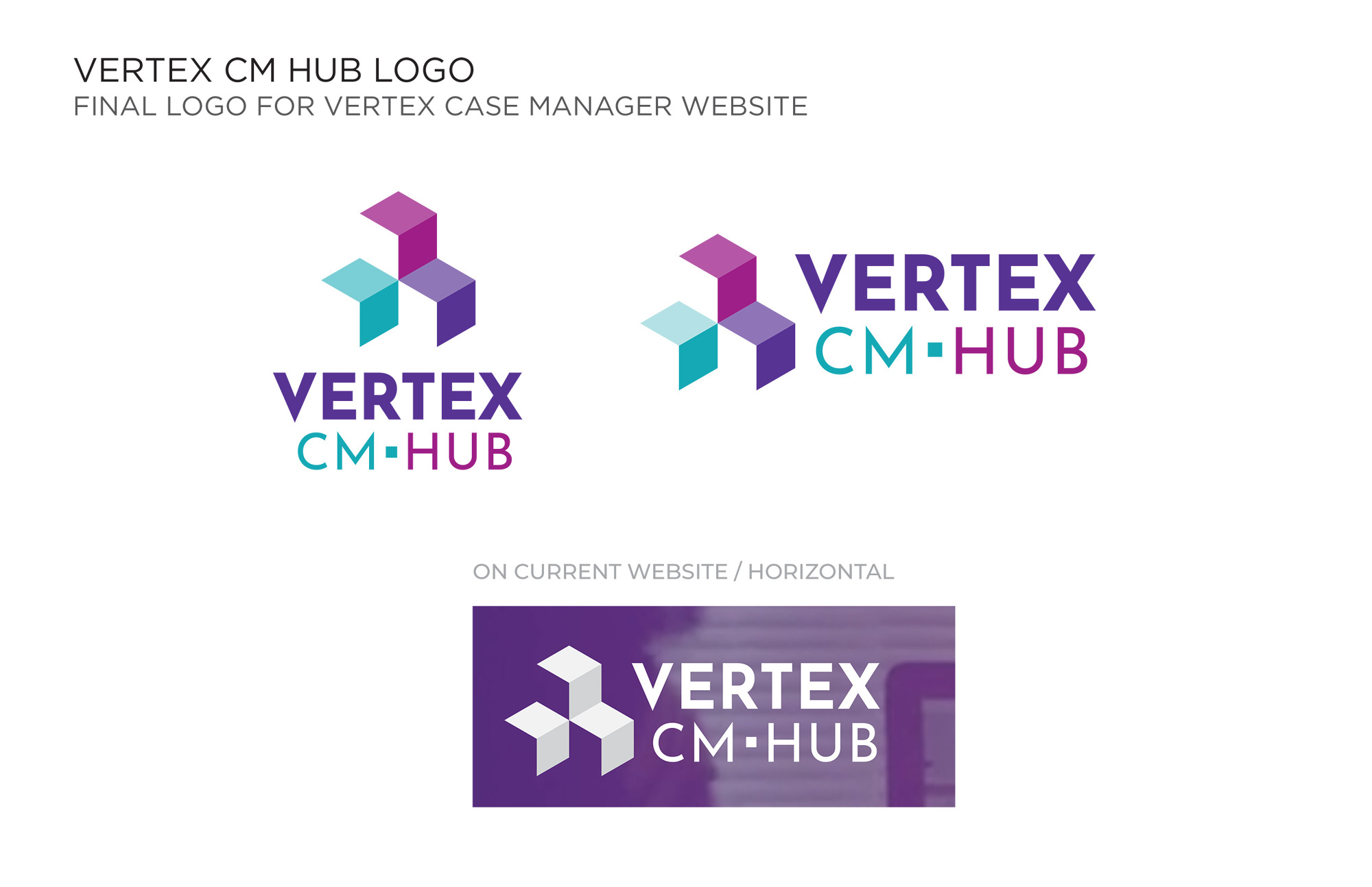 Vertex CM Hub Logo - Betsy Alvarez