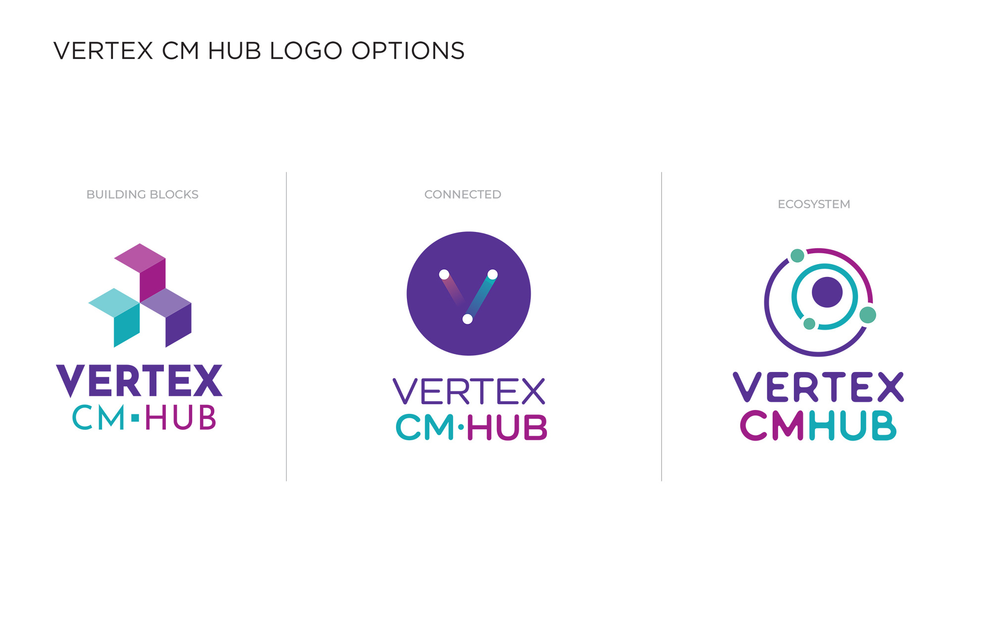 Vertex CM Hub Logo - Betsy Alvarez