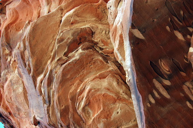 Parkitecture and Petroglyphs - Venue