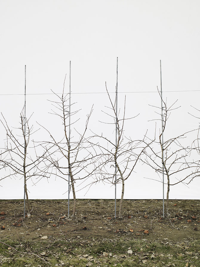 Of Sisters and Clones: An Interview with Jessica Rath - Venue