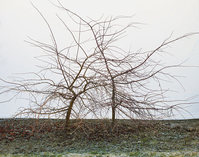 Of Sisters and Clones: An Interview with Jessica Rath - Venue