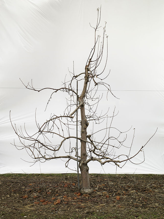 Of Sisters and Clones: An Interview with Jessica Rath - Venue