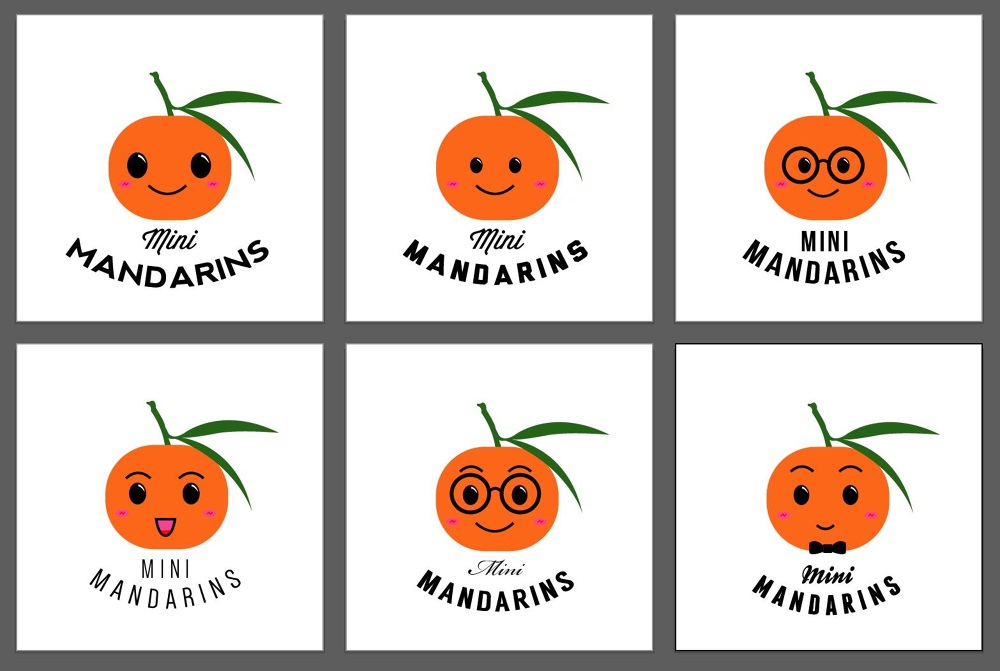 Little Mandarin - logo - Jessie Ng