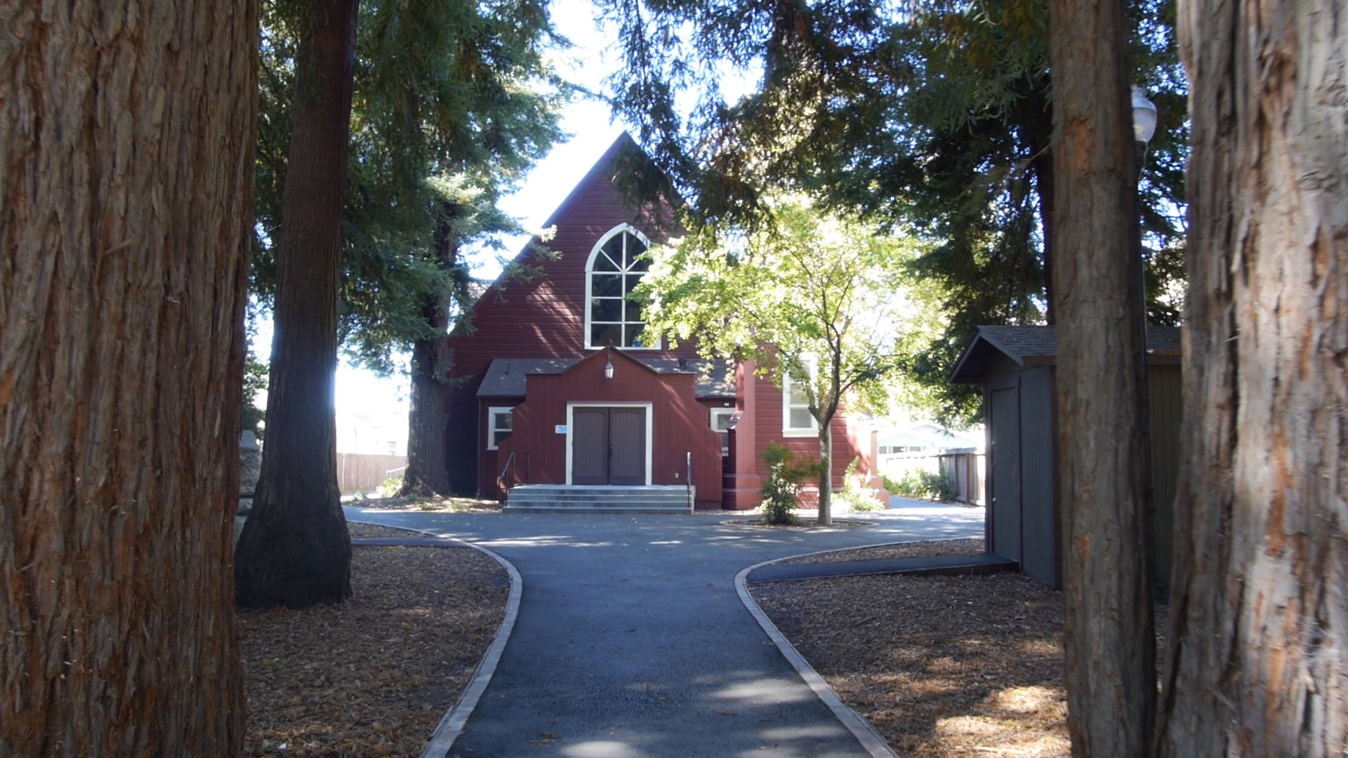 Church of One Tree - XHURCHES