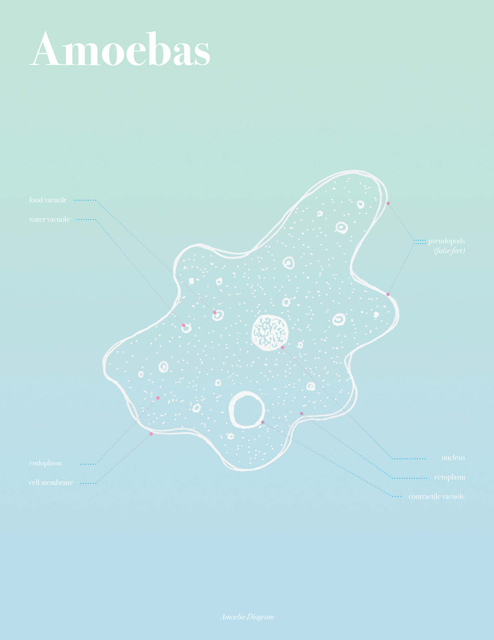 False Feet - JT Bachman