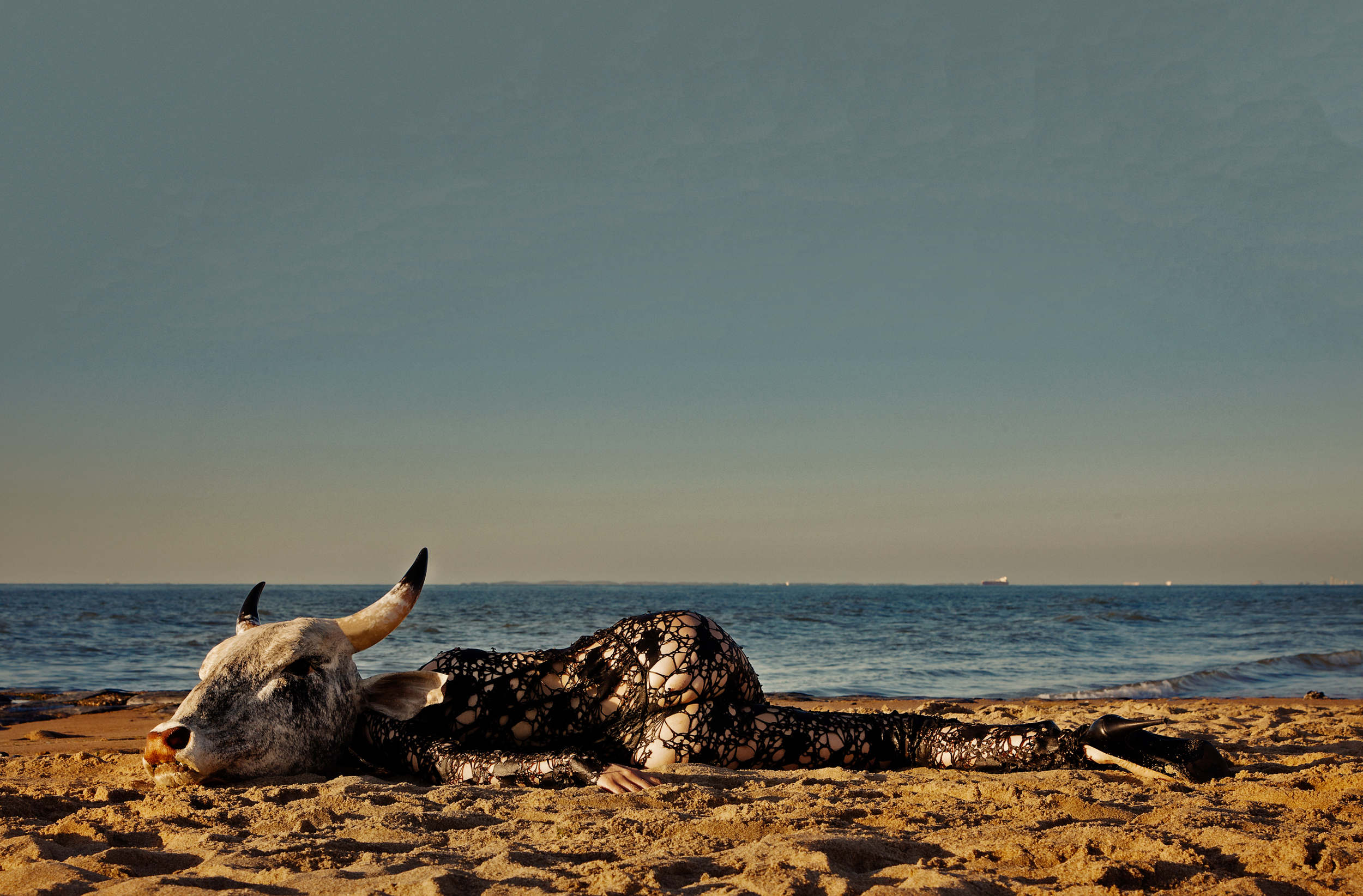 ronald stoops WORK - ronaldstoops.com