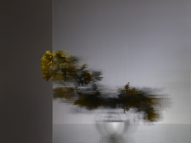 Rauque, 2023 - grecoroberto