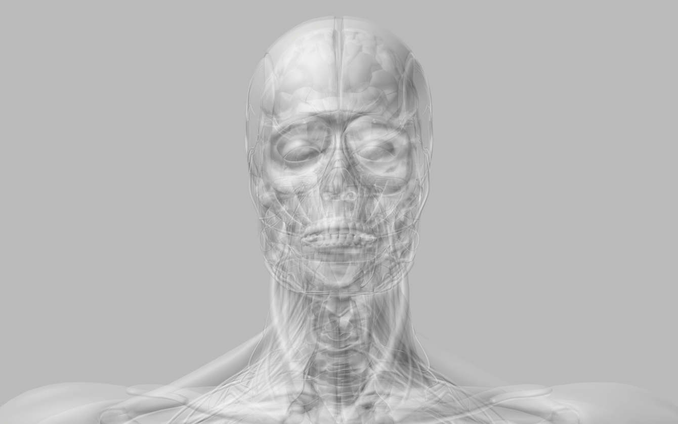 virtual interactive human anatomy. - minyun