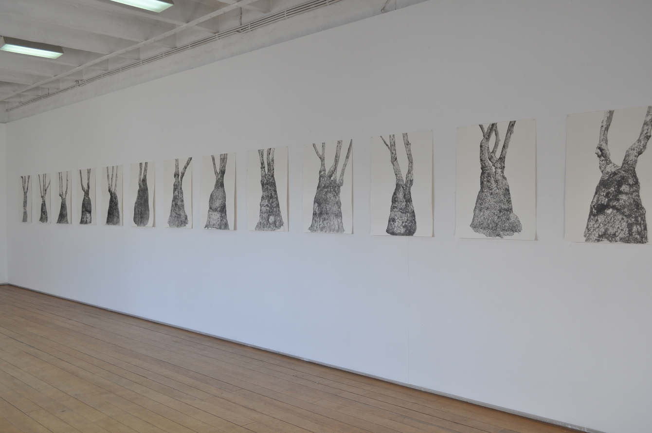 13 Bagged trees - joanapimentel.com