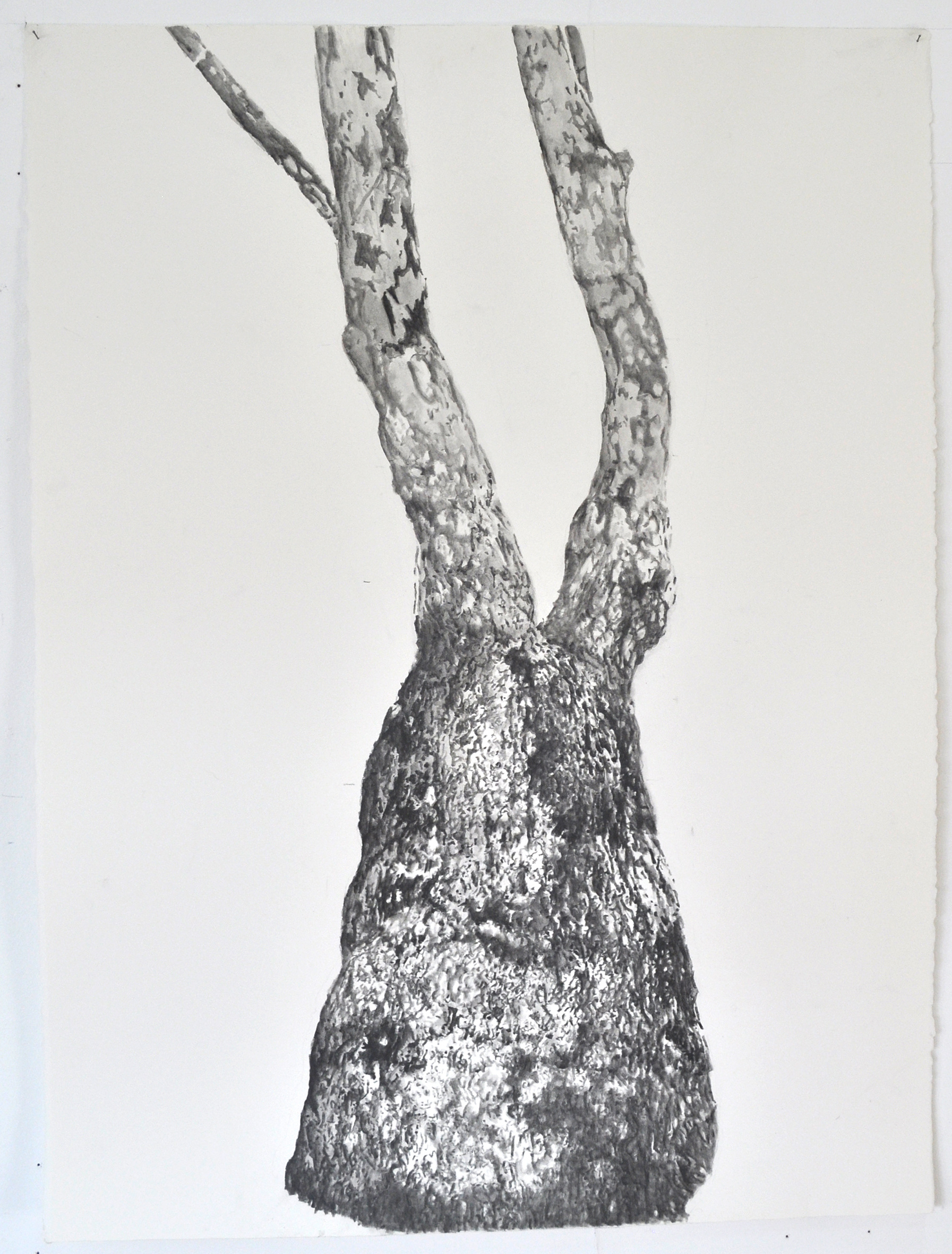 13 Bagged trees - joanapimentel.com