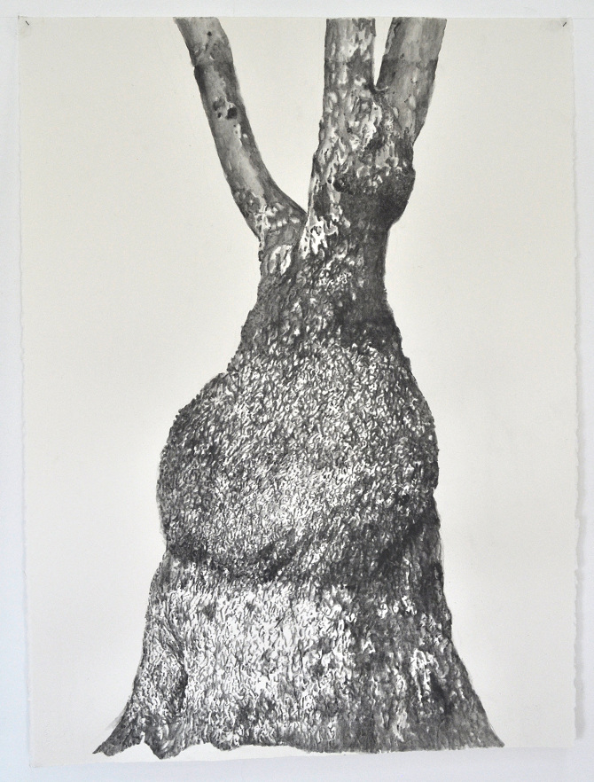 13 Bagged trees - joanapimentel.com