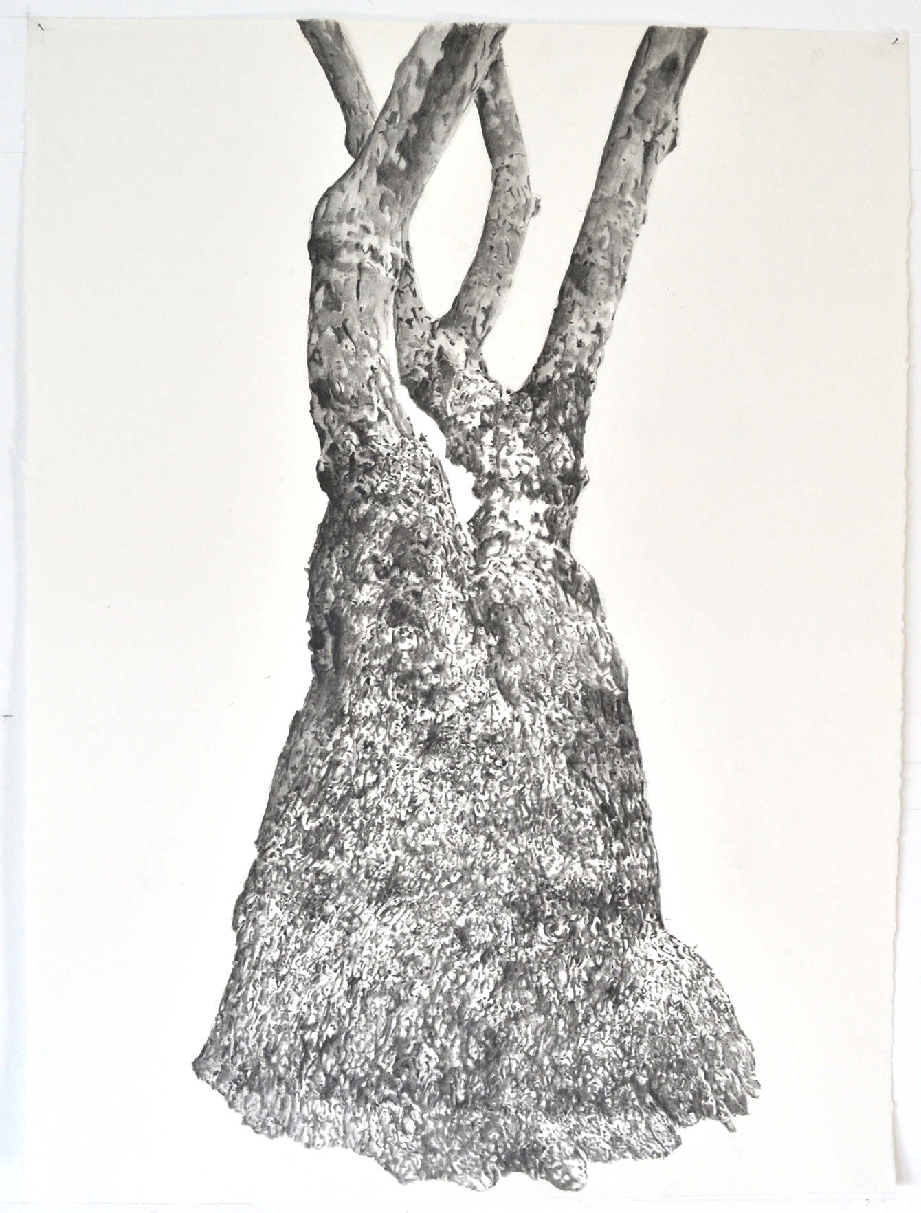 13 Bagged trees - joanapimentel.com