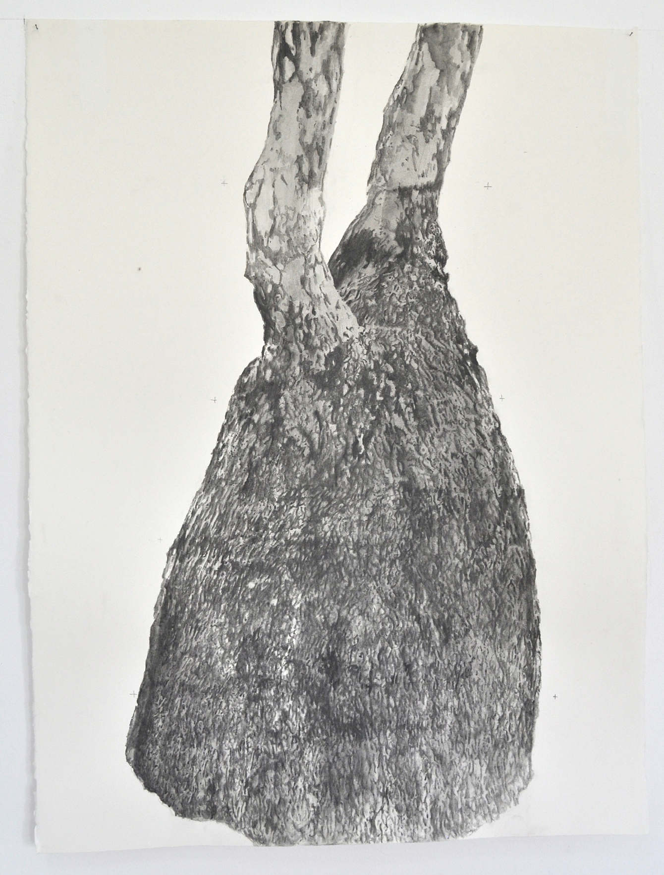 13 Bagged trees - joanapimentel.com