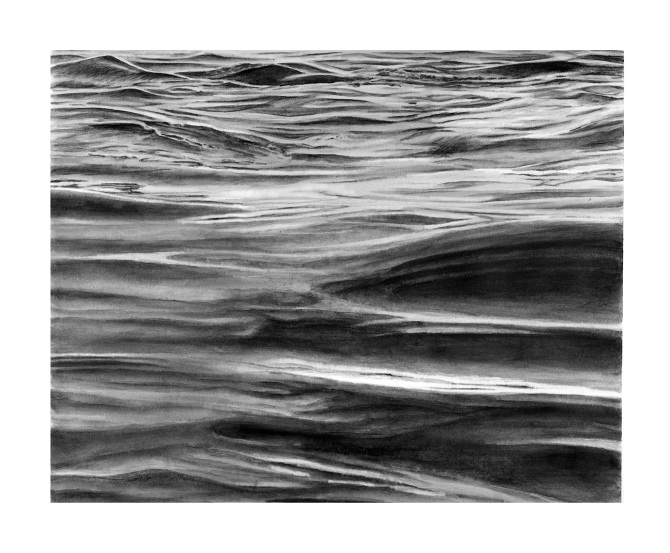 Drawing with Seawater - joanapimentel.com