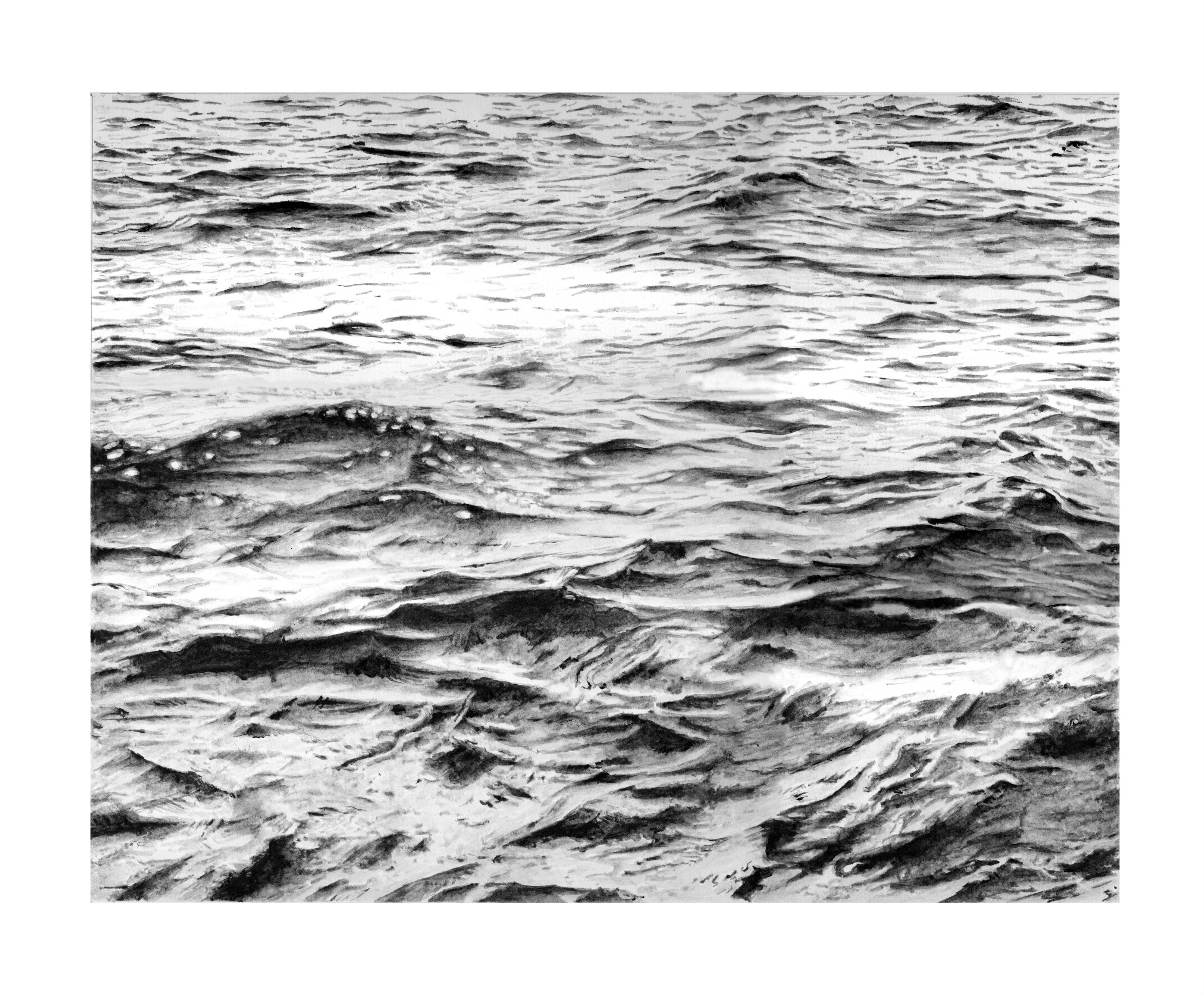 Drawing with Seawater - joanapimentel.com