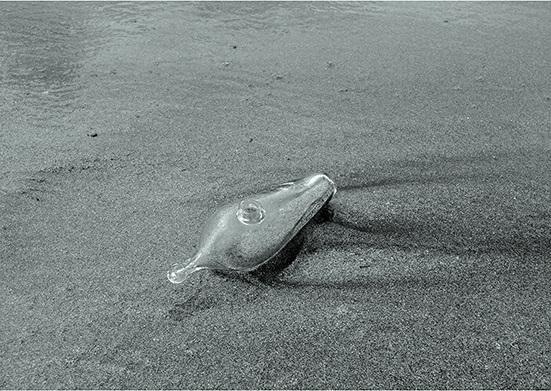 Peculiar Object - joanapimentel.com