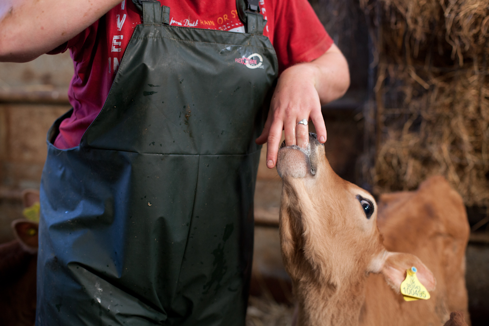 Roskillys - Why Eat Cornish