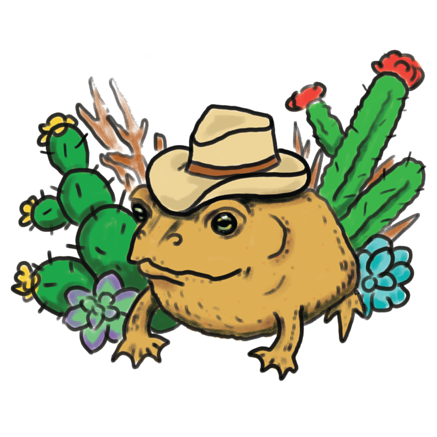 Country Toad - The Art of Erika Hagarty