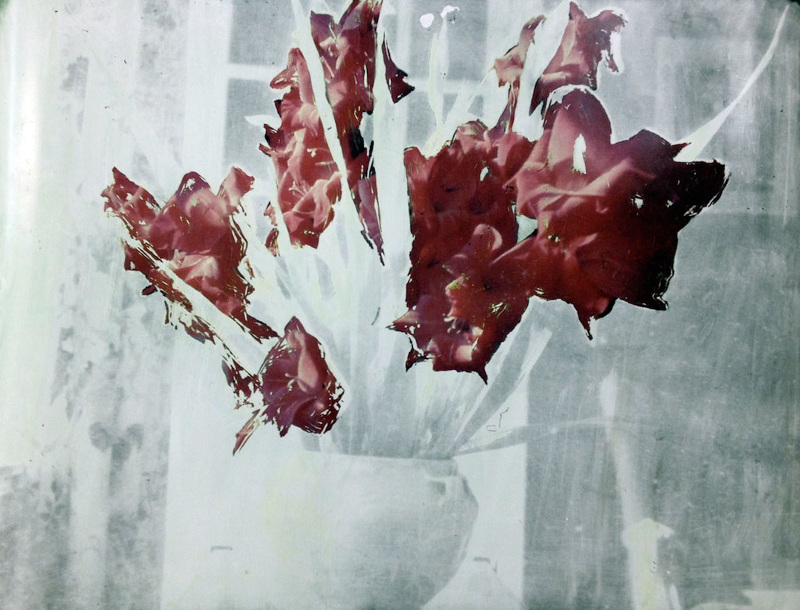 Bleach Paintings - Garrett Pruter