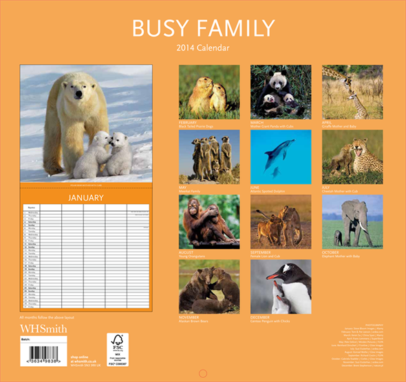 WHSmith Calendars - elizawasilik