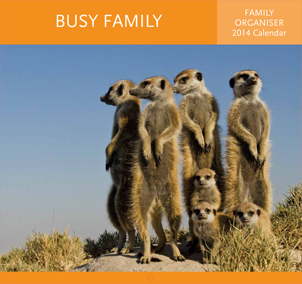 WHSmith Calendars - elizawasilik