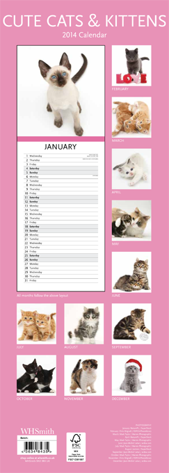 WHSmith Calendars - elizawasilik