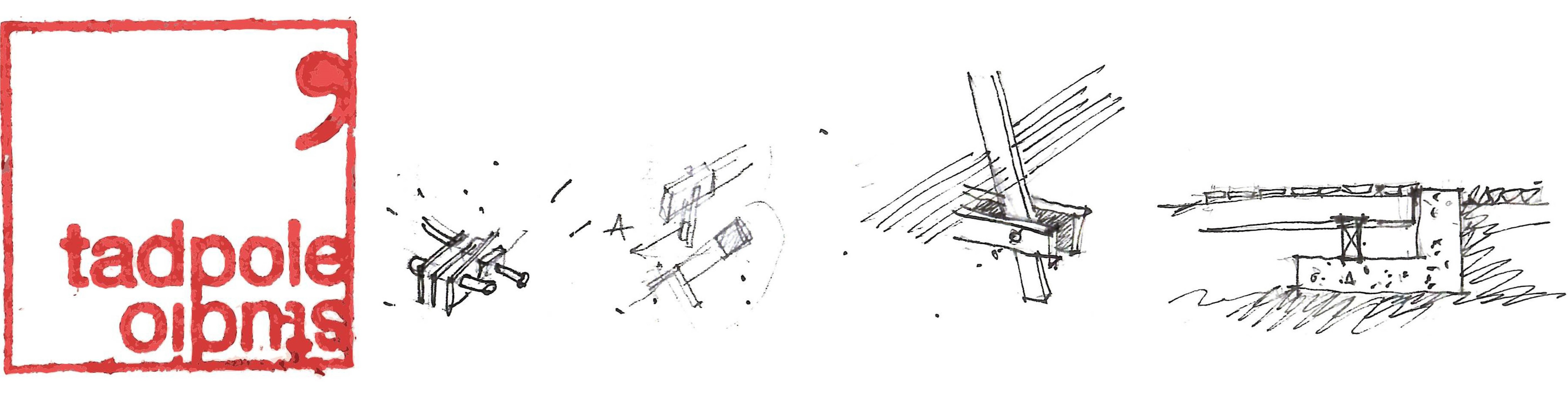 The Tadpole - Tadpole Studio