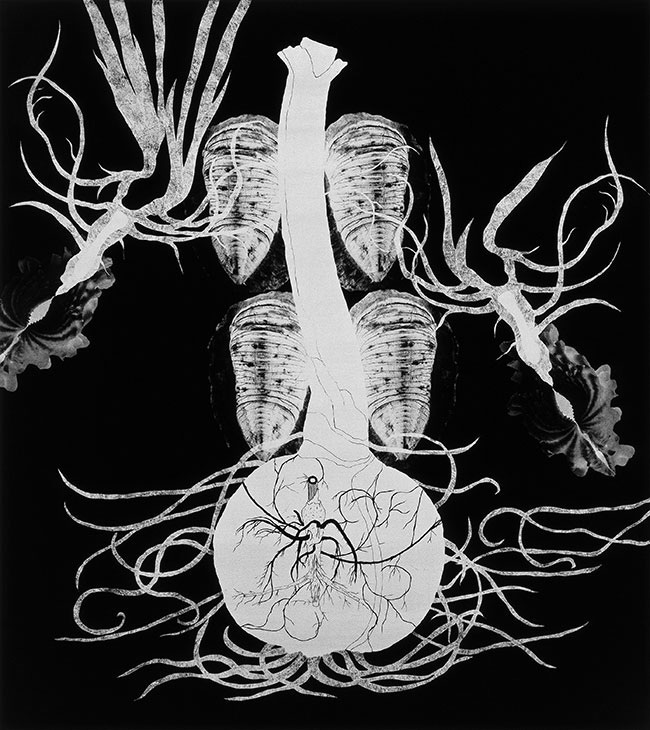 Hortus - Maria Martínez-Cañas