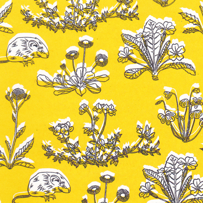 Illustration - Pattern and Print - RebeccaMorganDesign