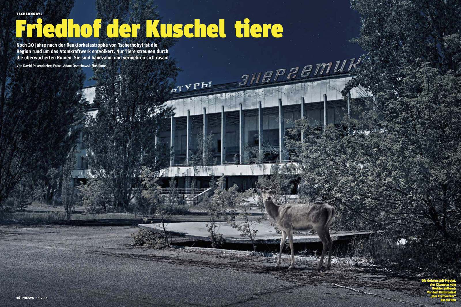 tearsheet: Adam Orzechowski's 'Chernobyl Project' in News ...