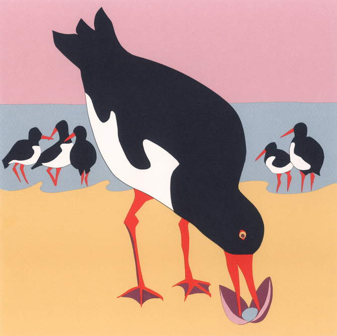 Felicity Booth Designs