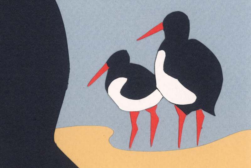 Felicity Booth Designs