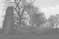 Felicity Booth Designs